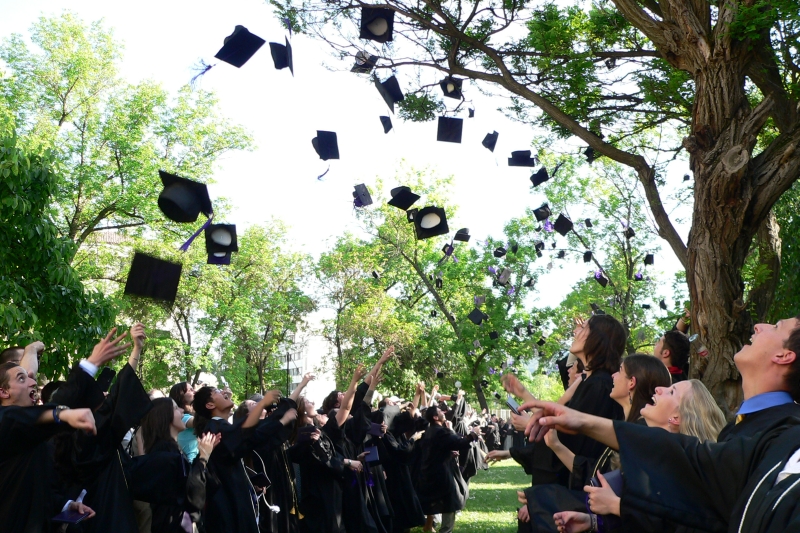 Job Search Tips for New College Grads - SurfSearch Recruitement